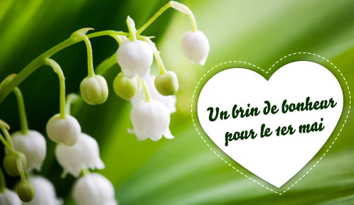 UN BRIN DE BONHEUR – Ecole Sainte Famille – CLISSON